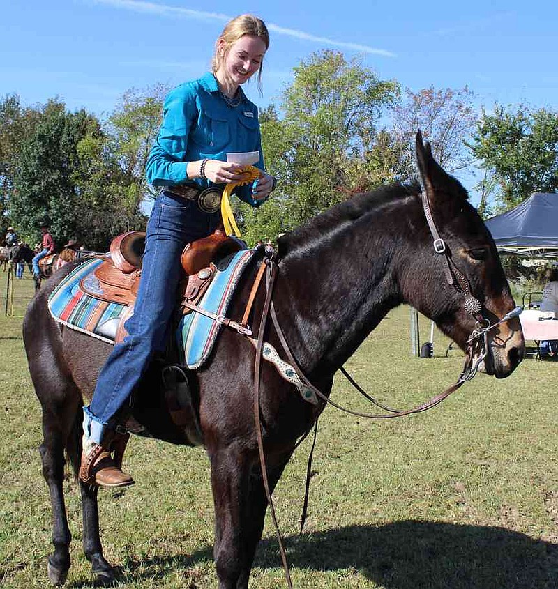 Speed events showcase agility, skill; Conformation judged in halter ...