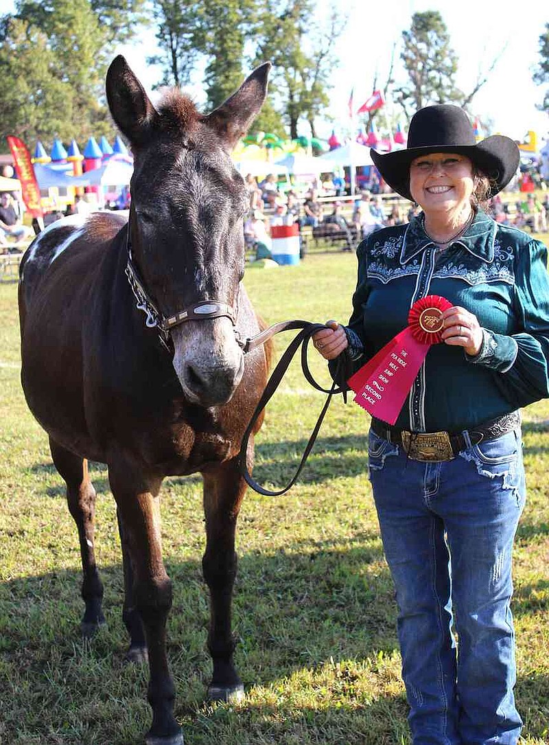 Speed events showcase agility, skill; Conformation judged in halter ...
