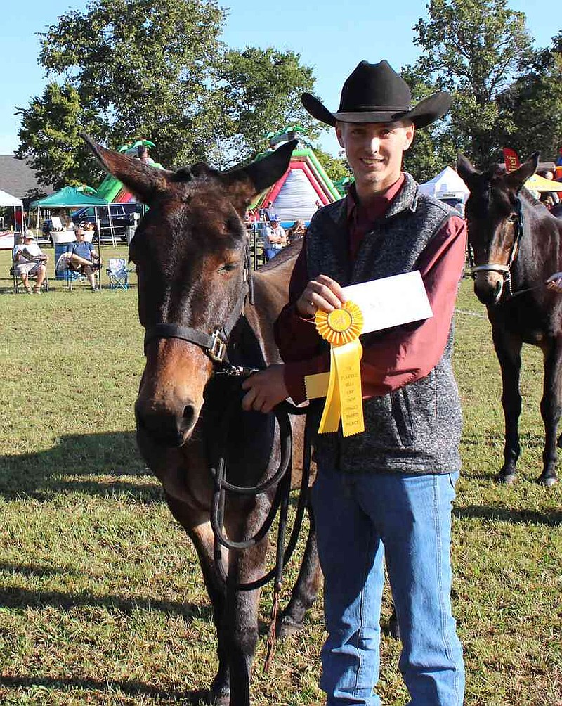 Speed events showcase agility, skill; Conformation judged in halter ...