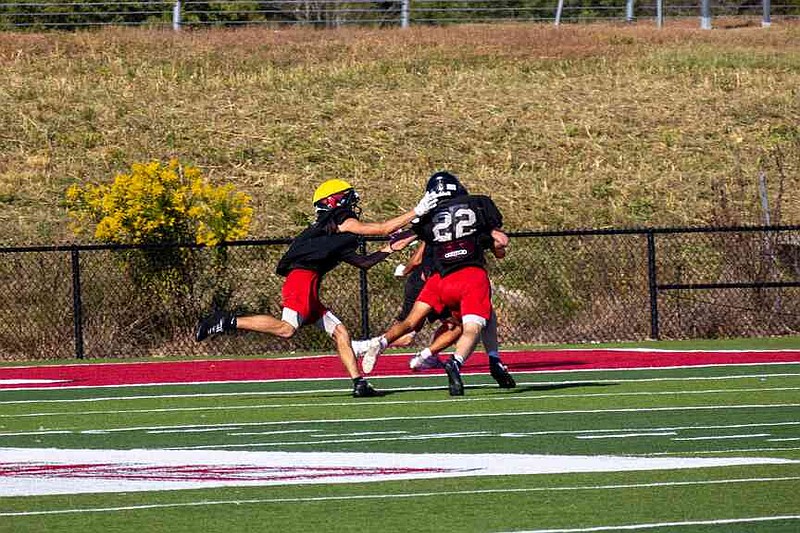 WATCH | Cutter Morning Star could be rewriting record book | Hot ...