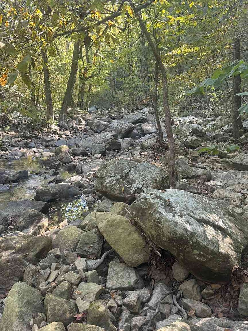 ARKANSAS WILDERNESS AREAS: Anniversary recalls campaign for Wilderness Act of 1984 | The ...