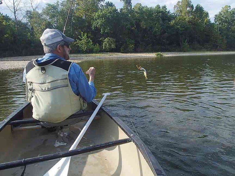 Float trip tradition | The Arkansas Democrat-Gazette - Arkansas' Best ...