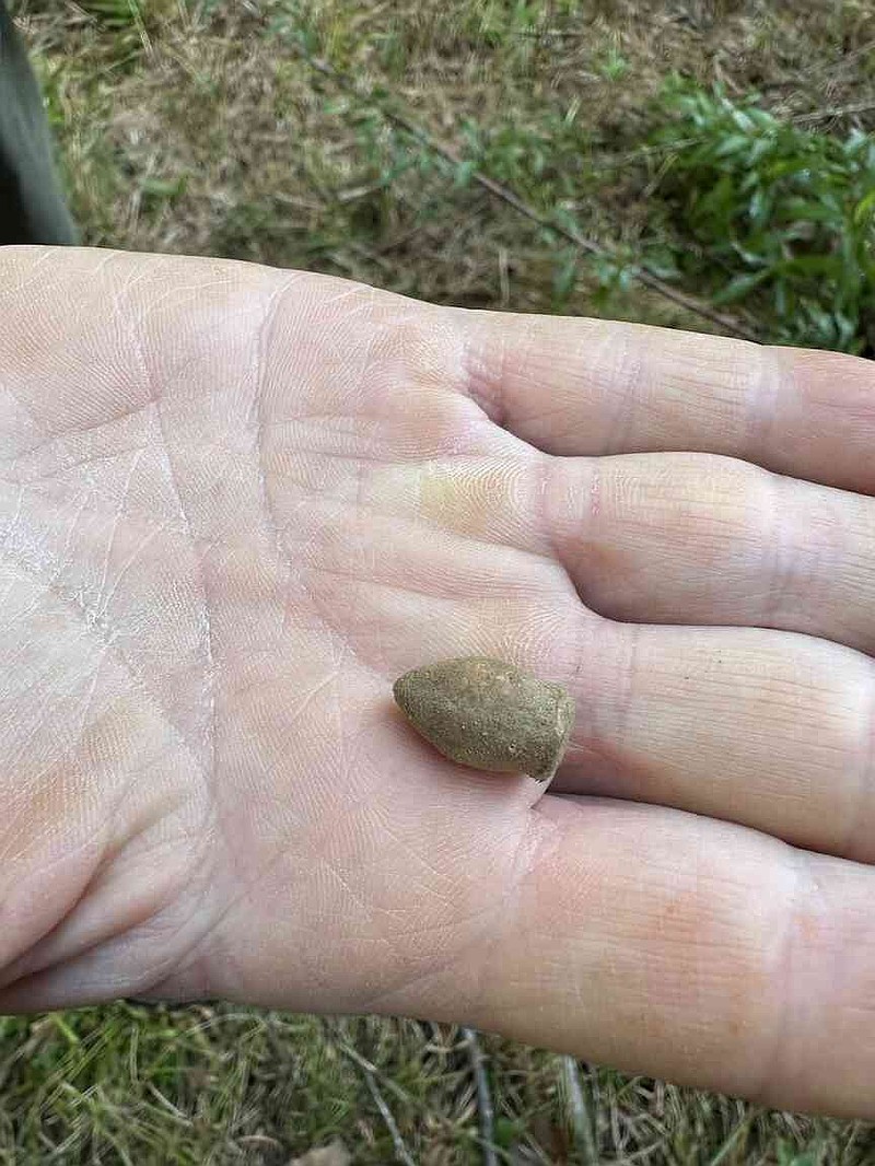 Benton treasure hunter digs up artifacts, searches for TV success | The ...