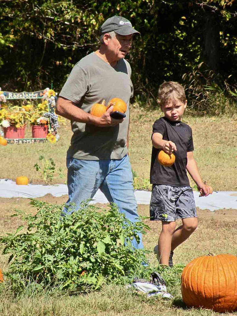 ARKANSAS SIGHTSEEING: Pumpkin patch farms abound for seasonal decor and ...