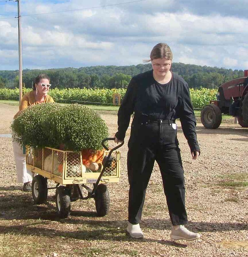 ARKANSAS SIGHTSEEING: Pumpkin patch farms abound for seasonal decor and ...