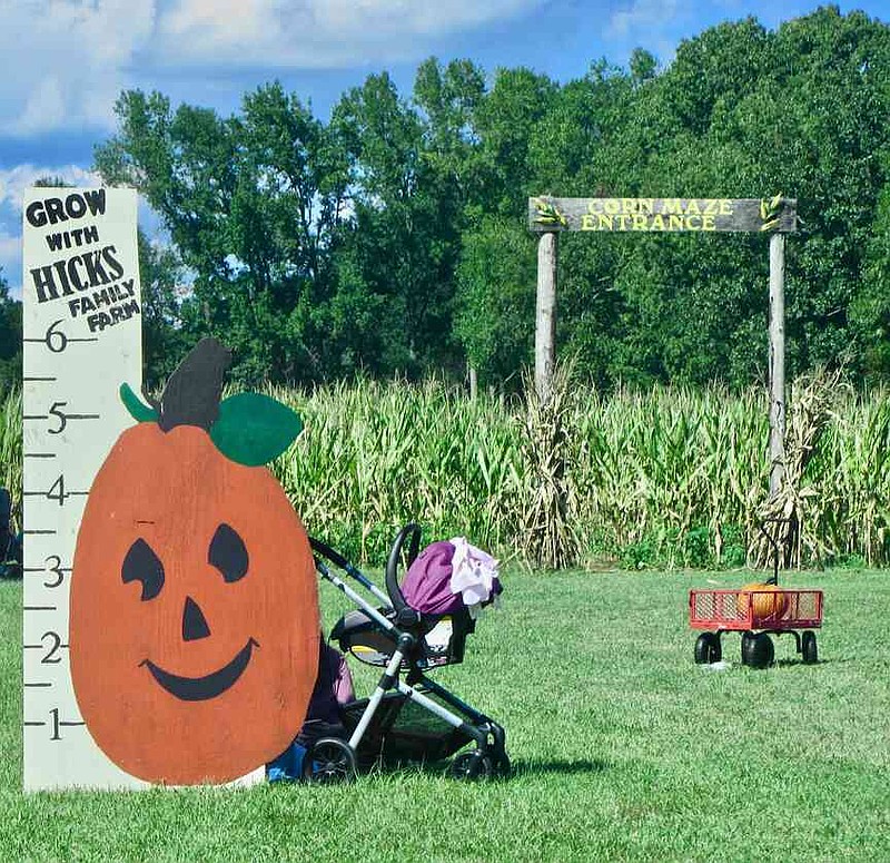 ARKANSAS SIGHTSEEING: Pumpkin patch farms abound for seasonal decor and ...