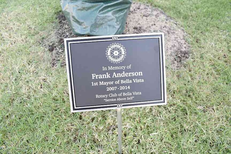 Bella Vista honors its roots with tree dedication in recognition of ...