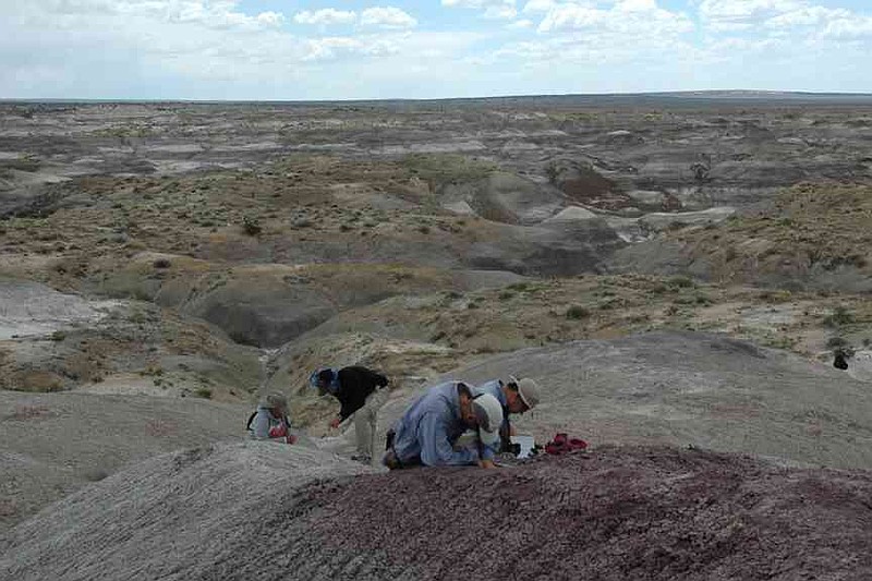 Study: Dinosaurs thriving in North America before asteroid strike | Hot ...
