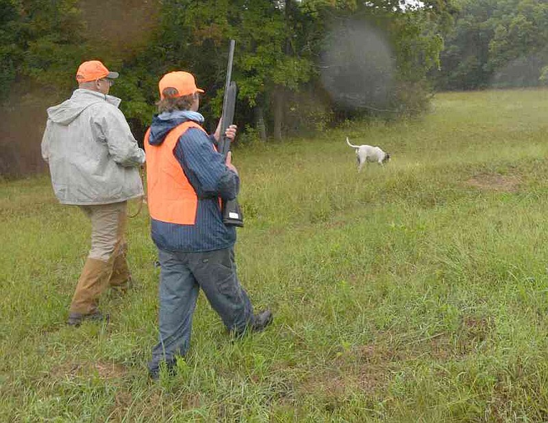 A quest for quail: Youth gather near Centerton to learn how to hunt ...
