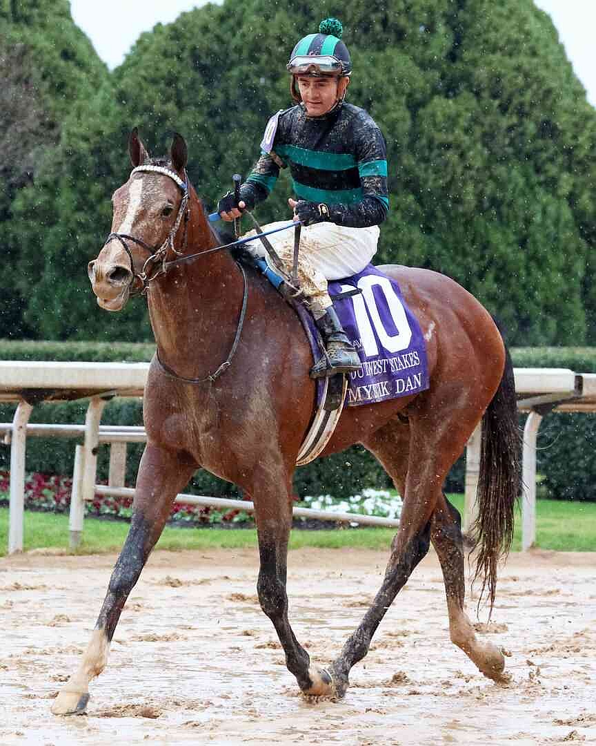 Blackout Time scratched from Breeders’ Cup; Mystik Dan faces similar ...