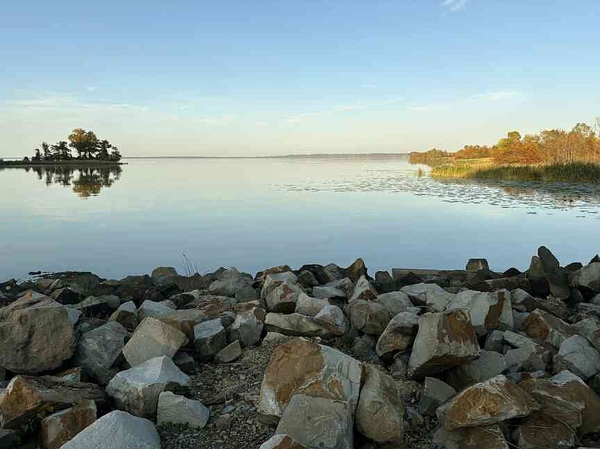 WATCH | Millwood State Park ideal for seeing native flora and fauna ...