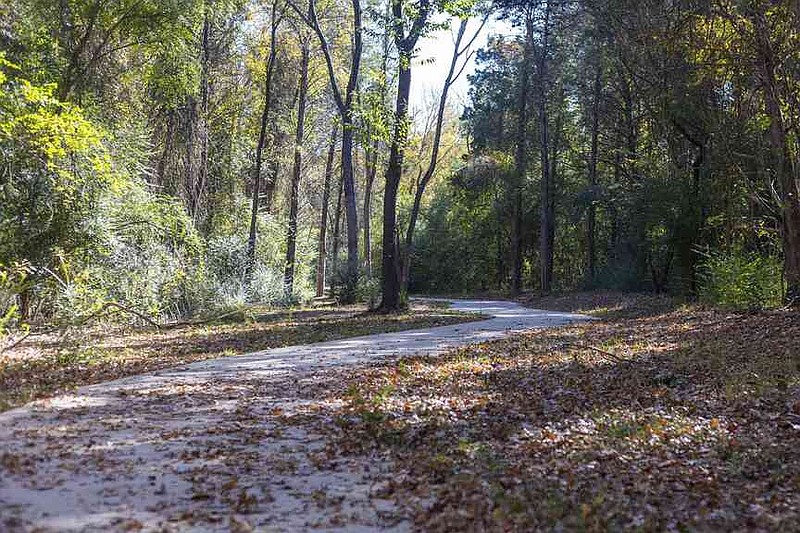 Carol Ann Cross Greenway and Boardwalk named ‘Hard Surface Trail of the ...