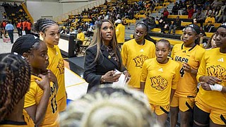 Turnovers cost UAPB in home-opening loss to Sam Houston | Pine Bluff ...