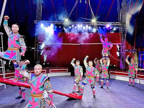 WATCH | Piccolo Zoppe Circus performing 12 shows at Majestic site ...