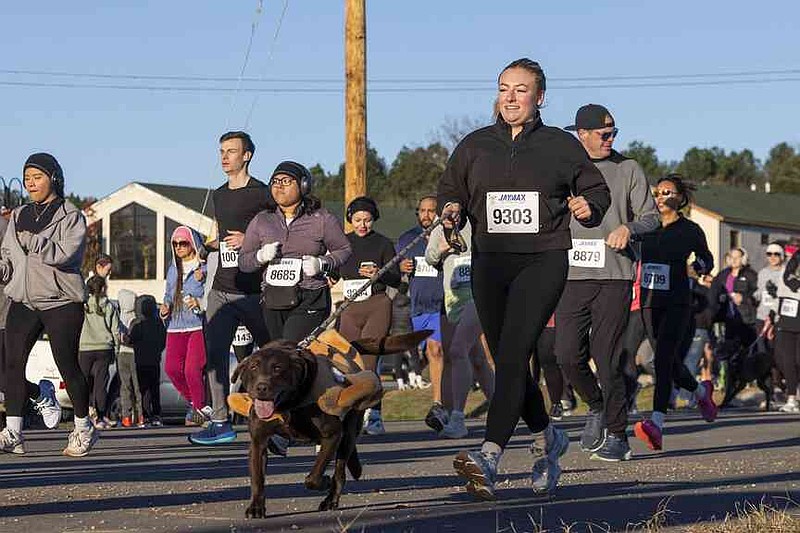 Turkeys on the run | River Valley Democrat-Gazette