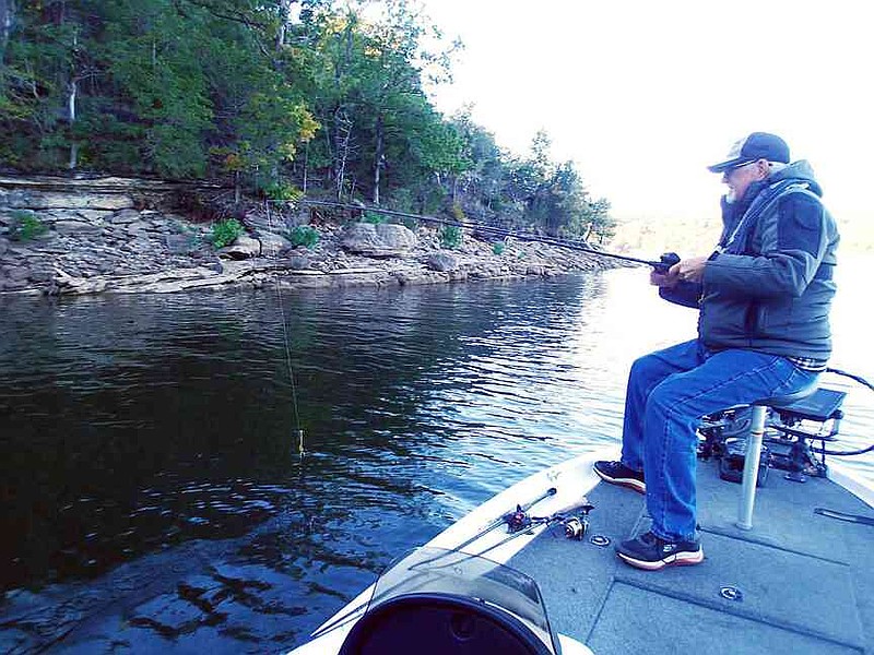 Jig and pigs prove excellent at getting bass to bite | Northwest ...