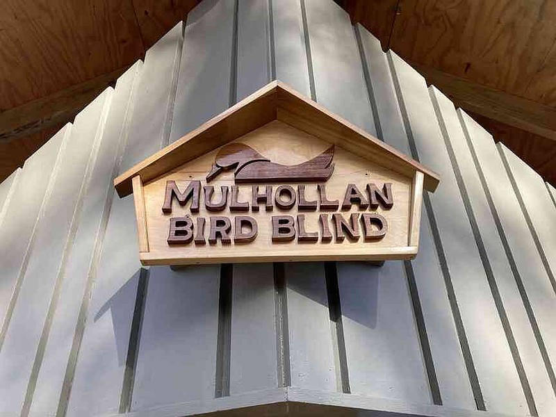 Lake Fayetteville bird blind offers front row seat to feathery show ...