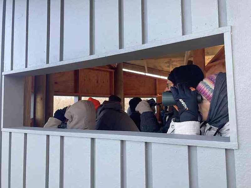 Lake Fayetteville bird blind offers front row seat to feathery show ...