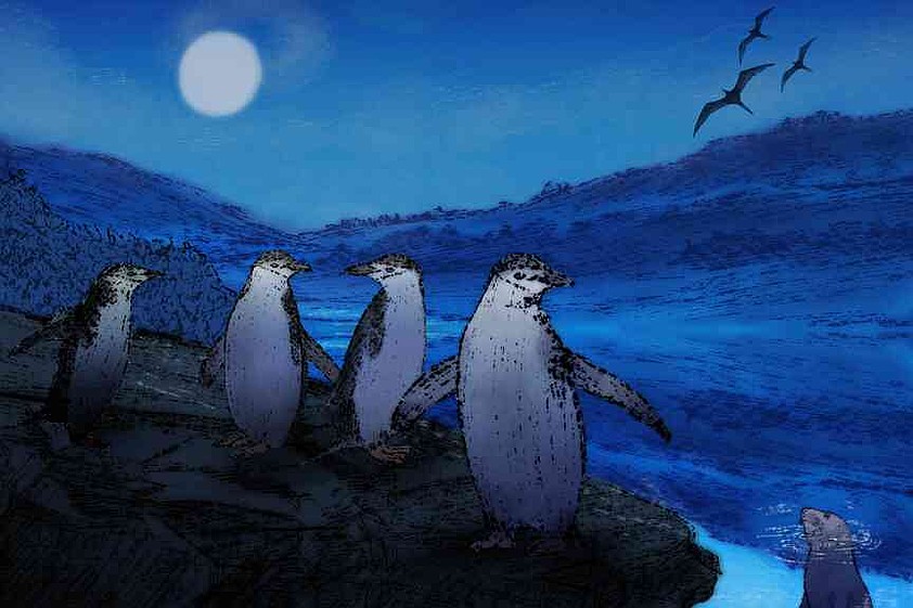 Nodding off is dangerous. Some animals have evolved extreme ways to ...