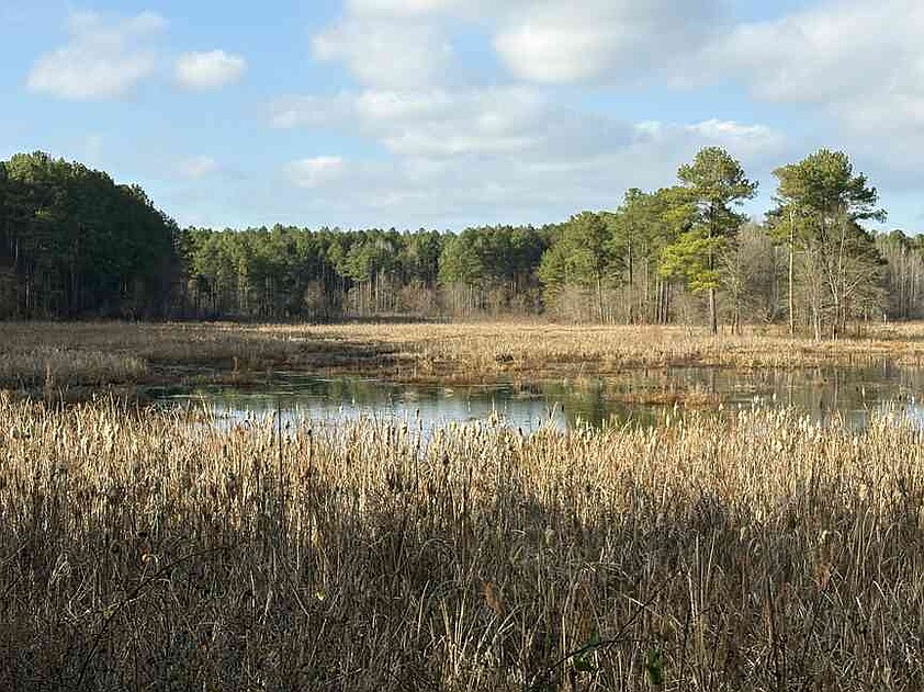 WATCH | Richardson Bottoms a different destination during winter months ...