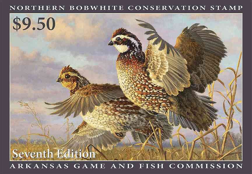Call issued to artists for 2026 Arkansas Quail and Turkey Stamp ...