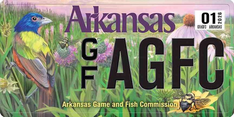 Arkansas Game and Fish Commission’s conservation plate features painted ...