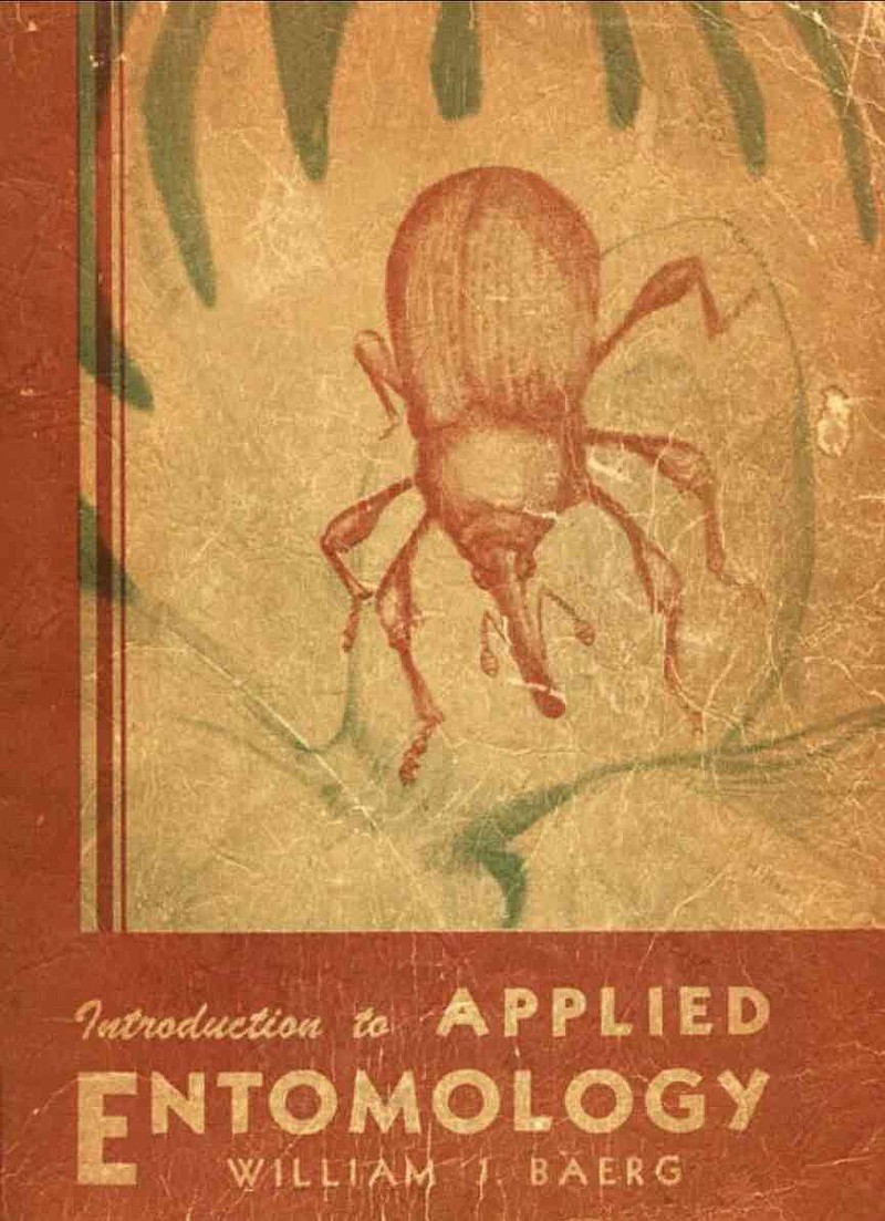 ARKANSAS A-Z: UA entomologist William Baerg tested effects of spider ...