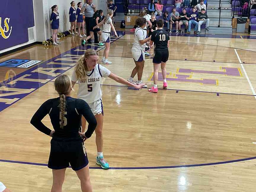 Lions, Cobras and Wolves look to build off recent wins tonight | Hot ...