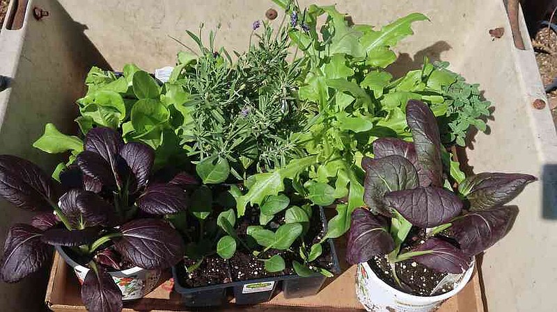 BREAKING GROUND: Wait until spring to assess damage | Northwest ...