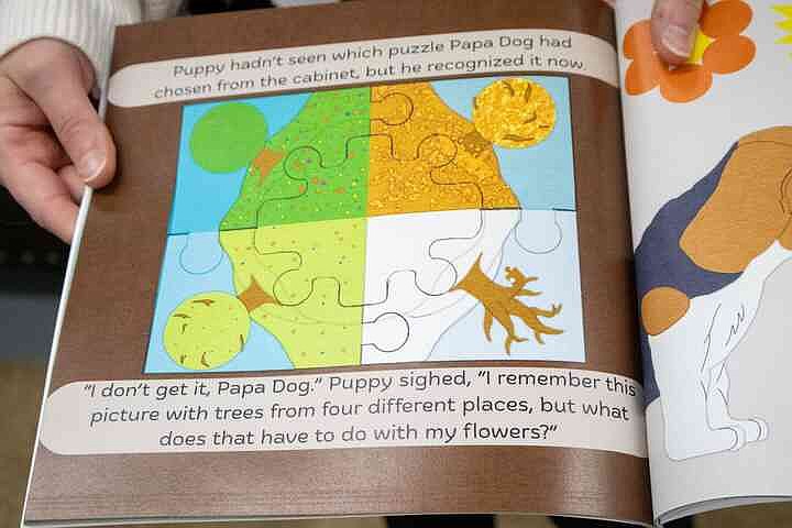 WATCH | Local author Anna Rose blends art, curiosity in new children’s ...