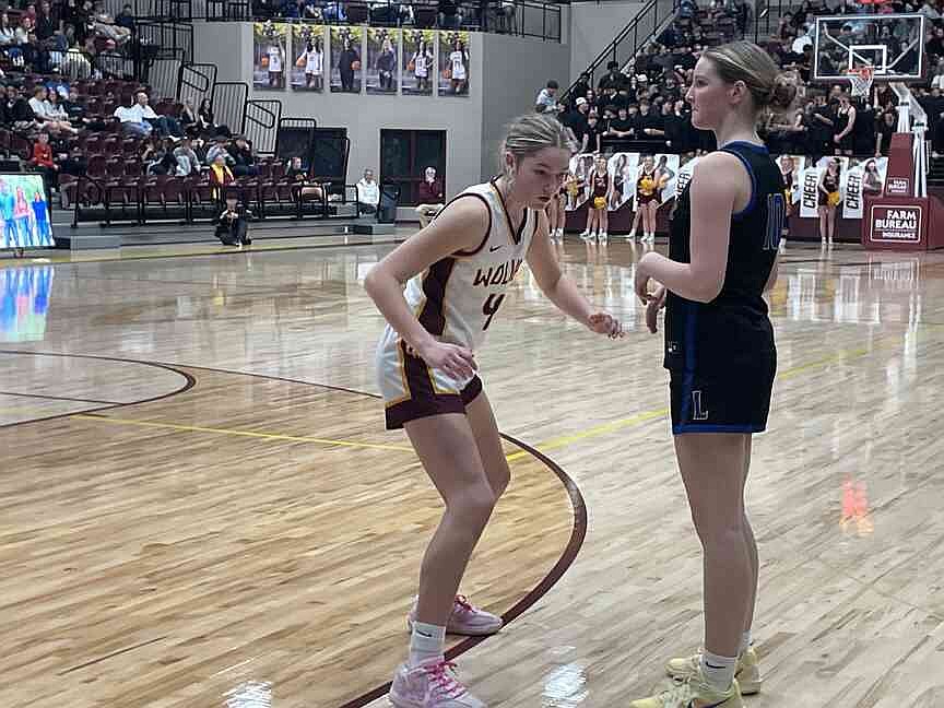 Lady Wolves keep winning while Wolves struggle to score vs Sheridan ...