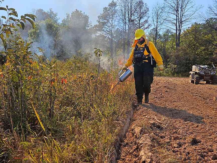 Prescribed burns improves habitat; fires require detailed planning ...