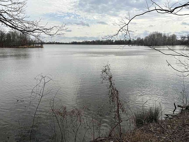 WATCH | Exploring the Governor Mike Huckabee Delta Rivers Nature Center ...