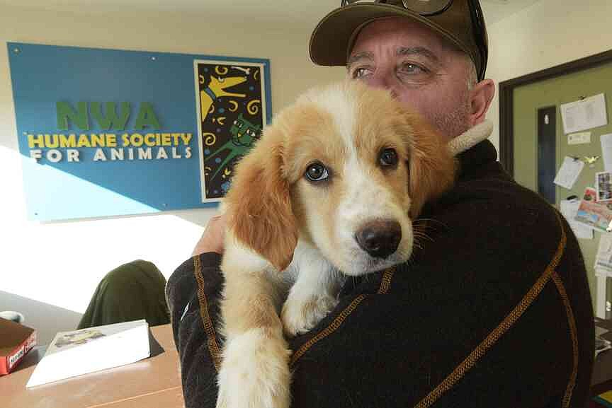 Rogers, Humane Society partnership offers free animal services for city ...