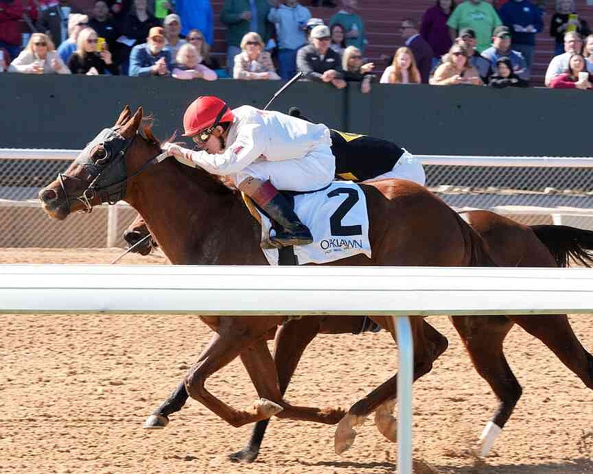 Radosevich making mark at Oaklawn | Hot Springs Sentinel Record