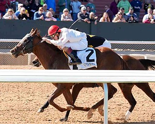 Radosevich making mark at Oaklawn | Hot Springs Sentinel Record