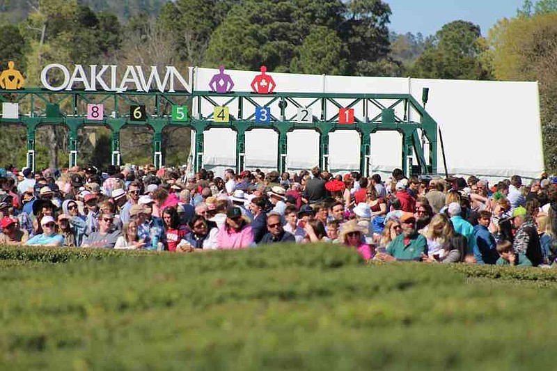 Renegade takes derby as Racing Festival of the South draws crowds ...