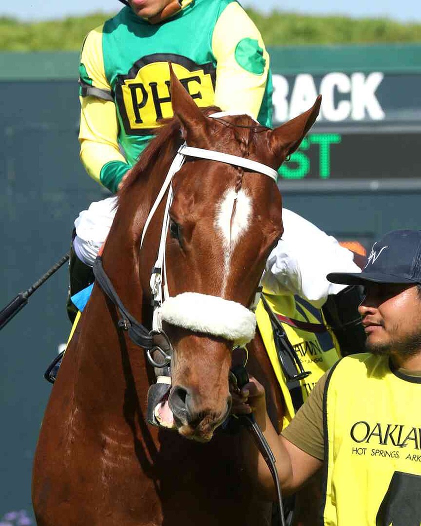 Longshots rule day in 2 handicaps | Hot Springs Sentinel Record
