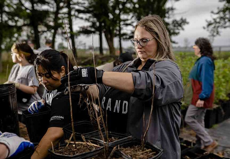 Northwest Arkansas to recognize Earth Day with a number of events | The ...