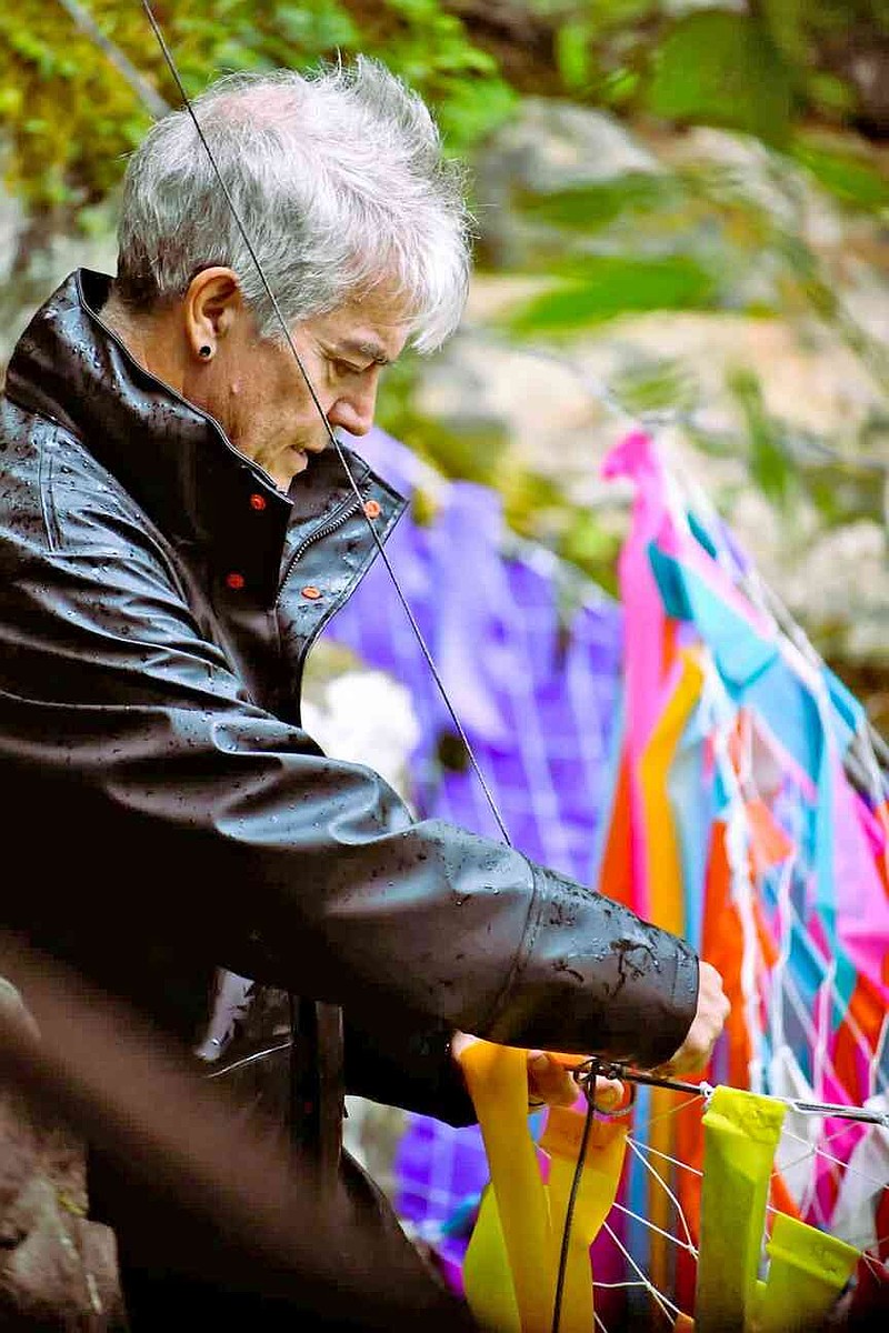 WATCH | ‘Where the Wind Lives’ opens today at Garvan Woodland Gardens ...