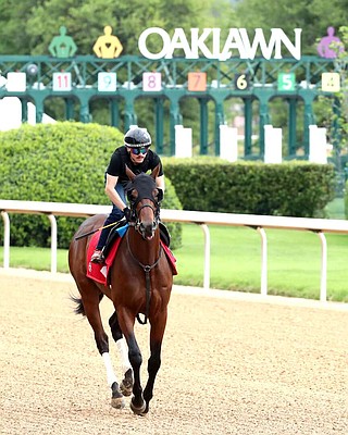 Casse talks up Silent Tactic for Preakness | Hot Springs Sentinel Record