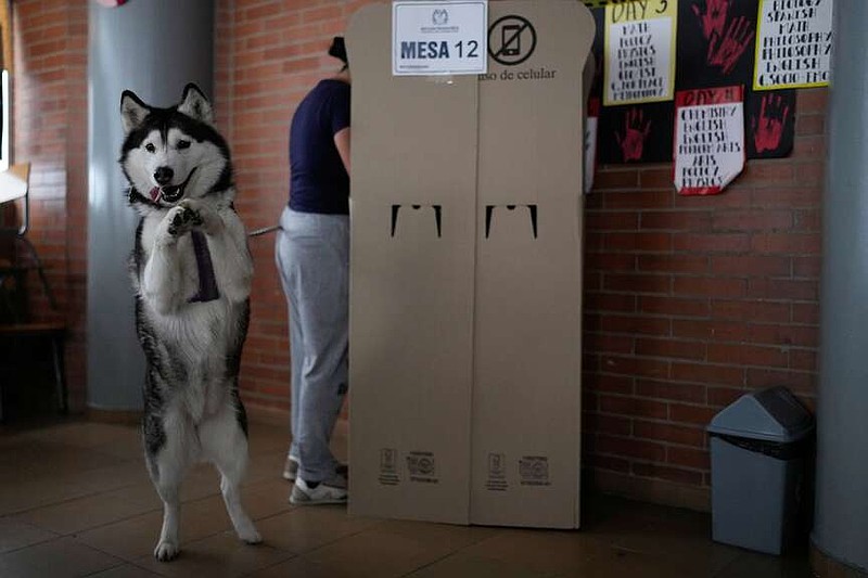 A voter marks a ballot during the presidential election in Bogota ...