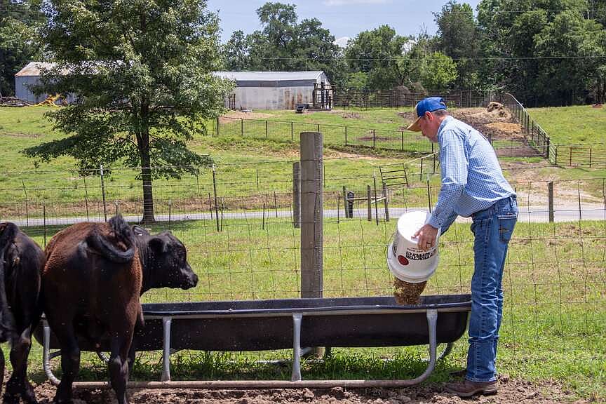 WATCH, GALLERY | Rucker Farm named Garland County Farm Family of the ...