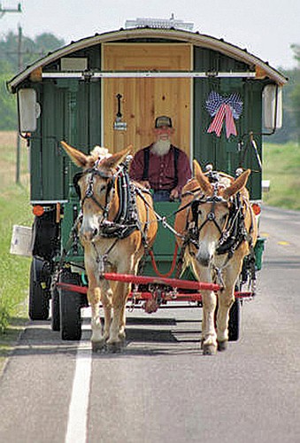 Ozark crash injures Michigan man, kills mule team | Pine Bluff ...