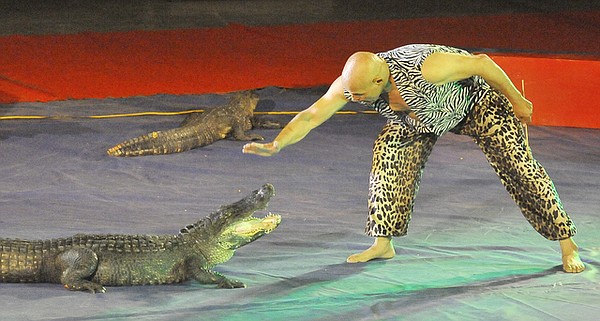 Circus Time! Big-top thrills abound at PB Convention Center | Northwest ...