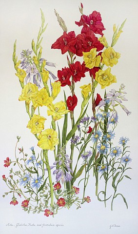 Botanical art, science illustrations | Northwest Arkansas Democrat-Gazette