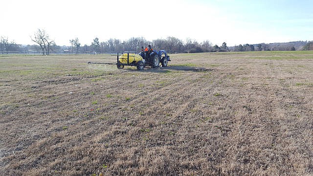 Spring is weed control time in warm season pastures | The Arkansas ...