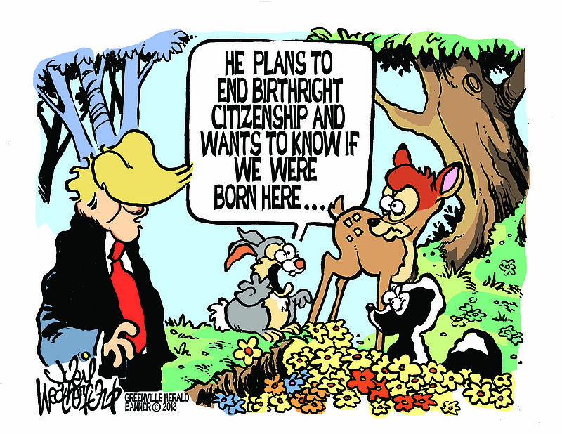 Weatherford cartoon: Birthright citizenship