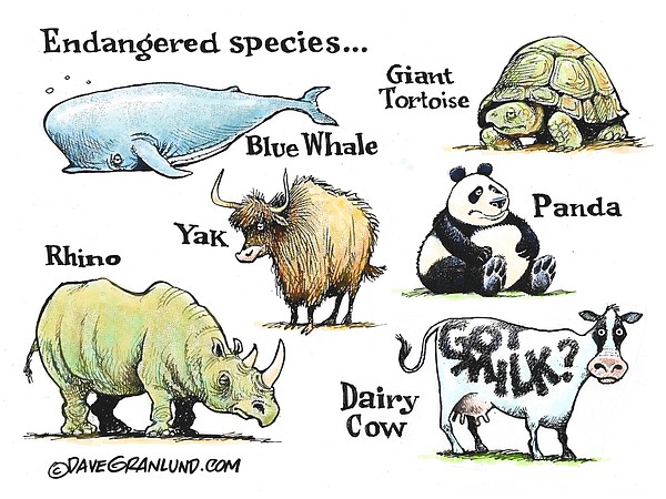 Granlund cartoon: Endangered species | Northwest Arkansas Democrat-Gazette