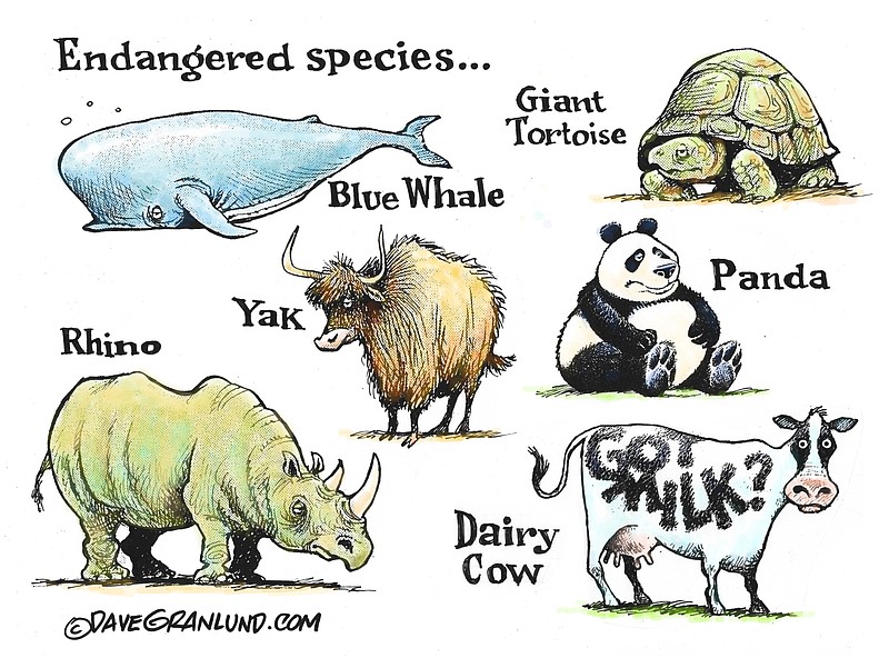 Granlund cartoon: Endangered species | Northwest Arkansas Democrat-Gazette